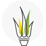 Yuto – Leading global printing & packaging solutions