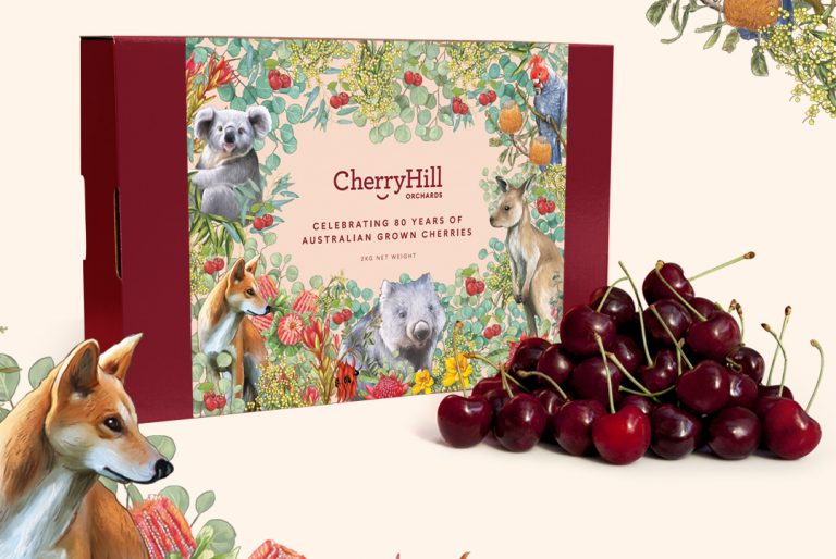 Custom Packaging – Yuto